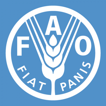 FAO - How to draft policy briefs - European Health Parliament